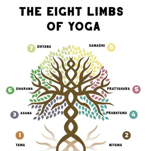 Yoga's Eight Limbs: A Journey from Body to Spirit – Cambivo